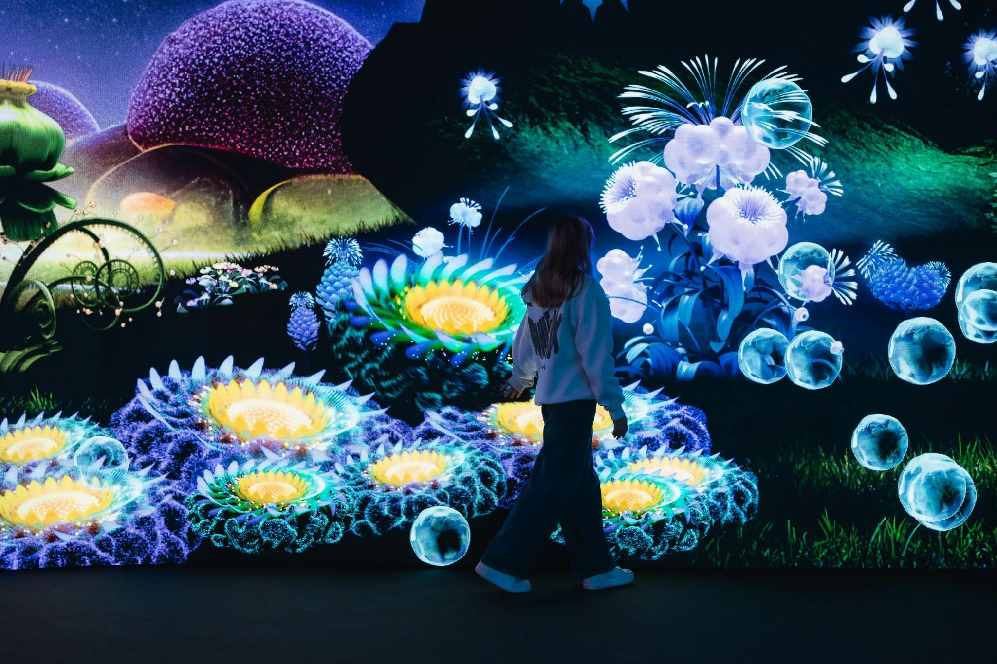 ILA - Adelaide, Attraction | South Australia