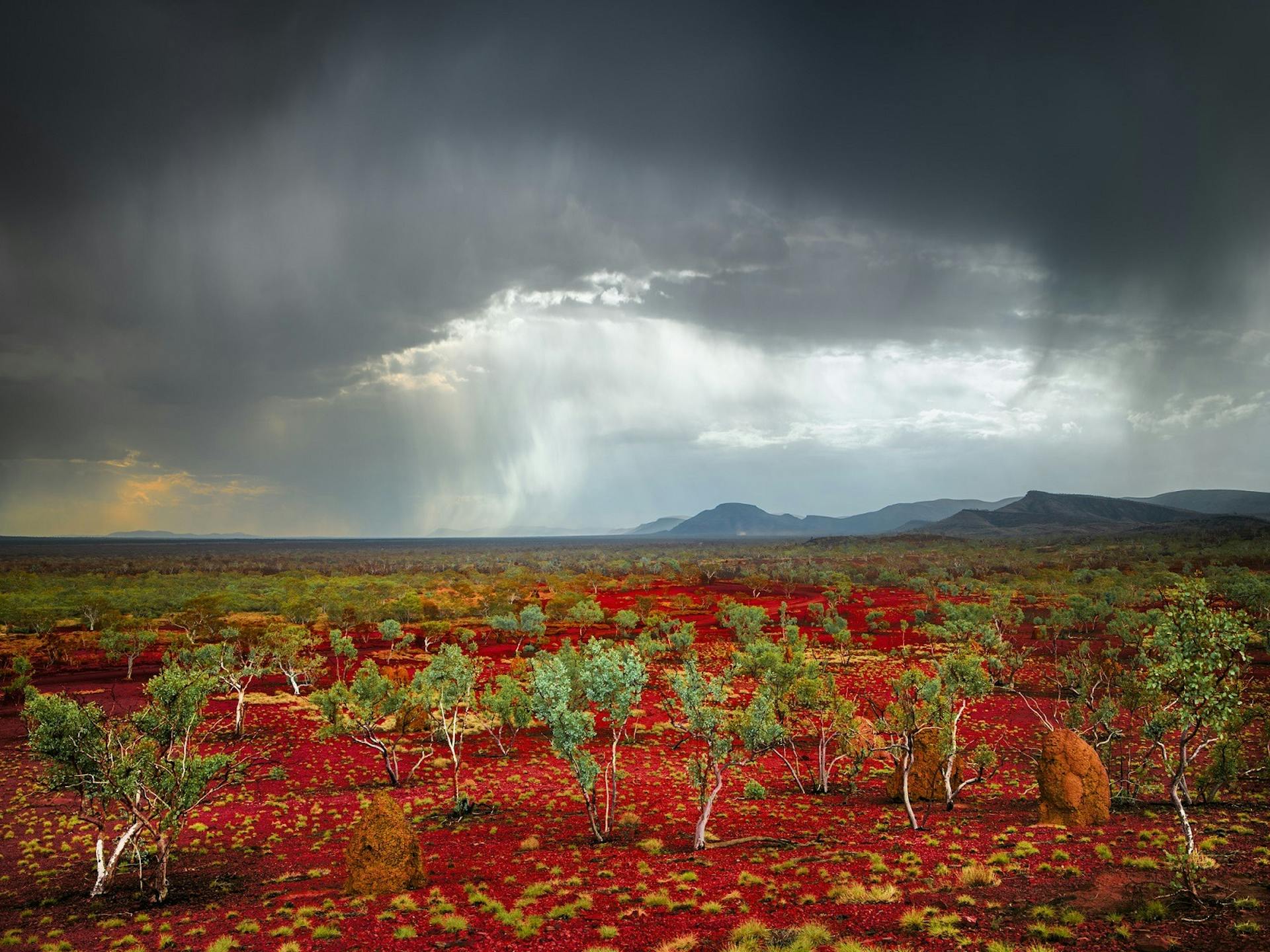 Hamersley Range in Hamersley Range - The Fold: Your Guide to Everything ...