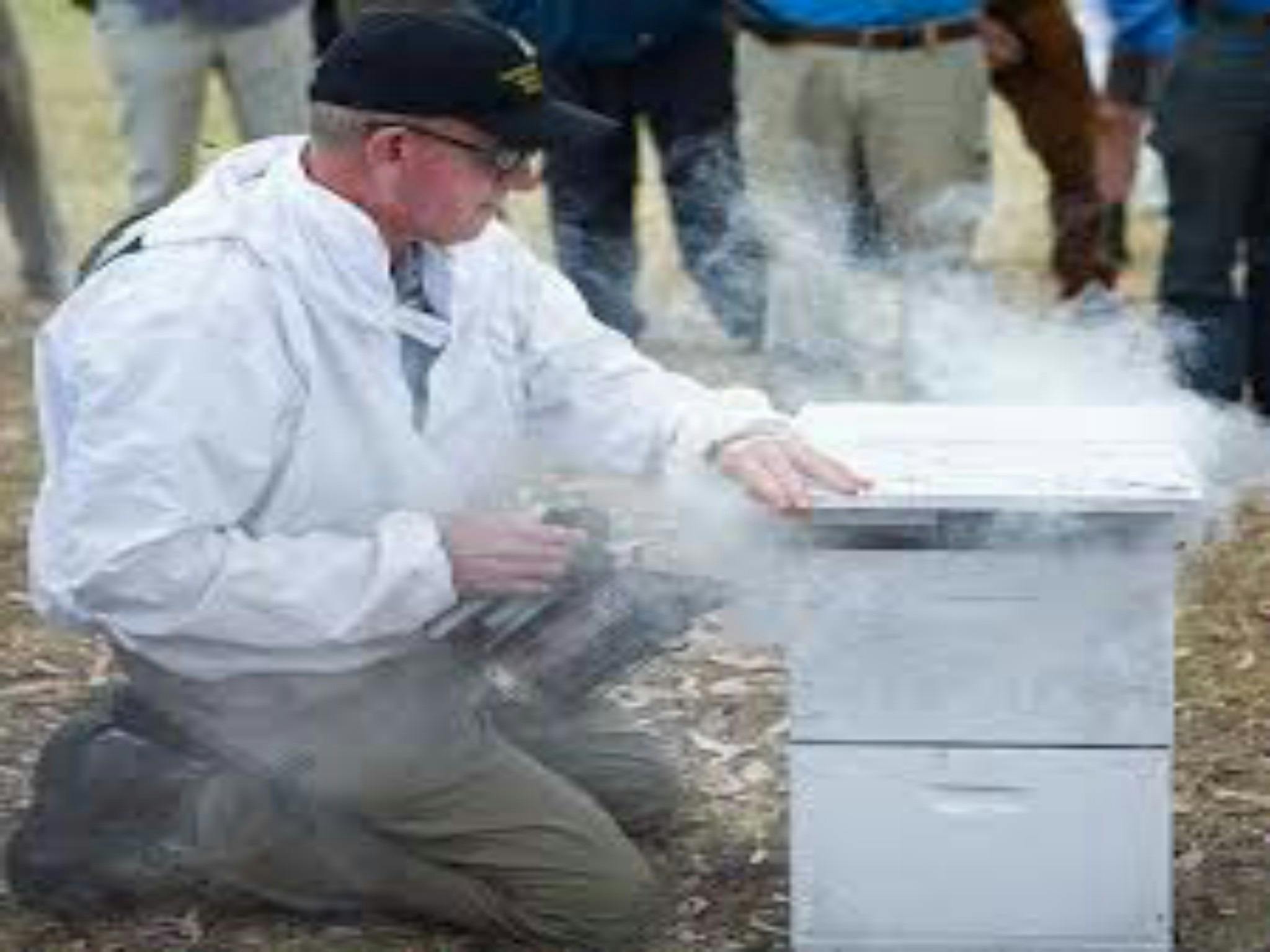 Tocal Field Days - My Maitland