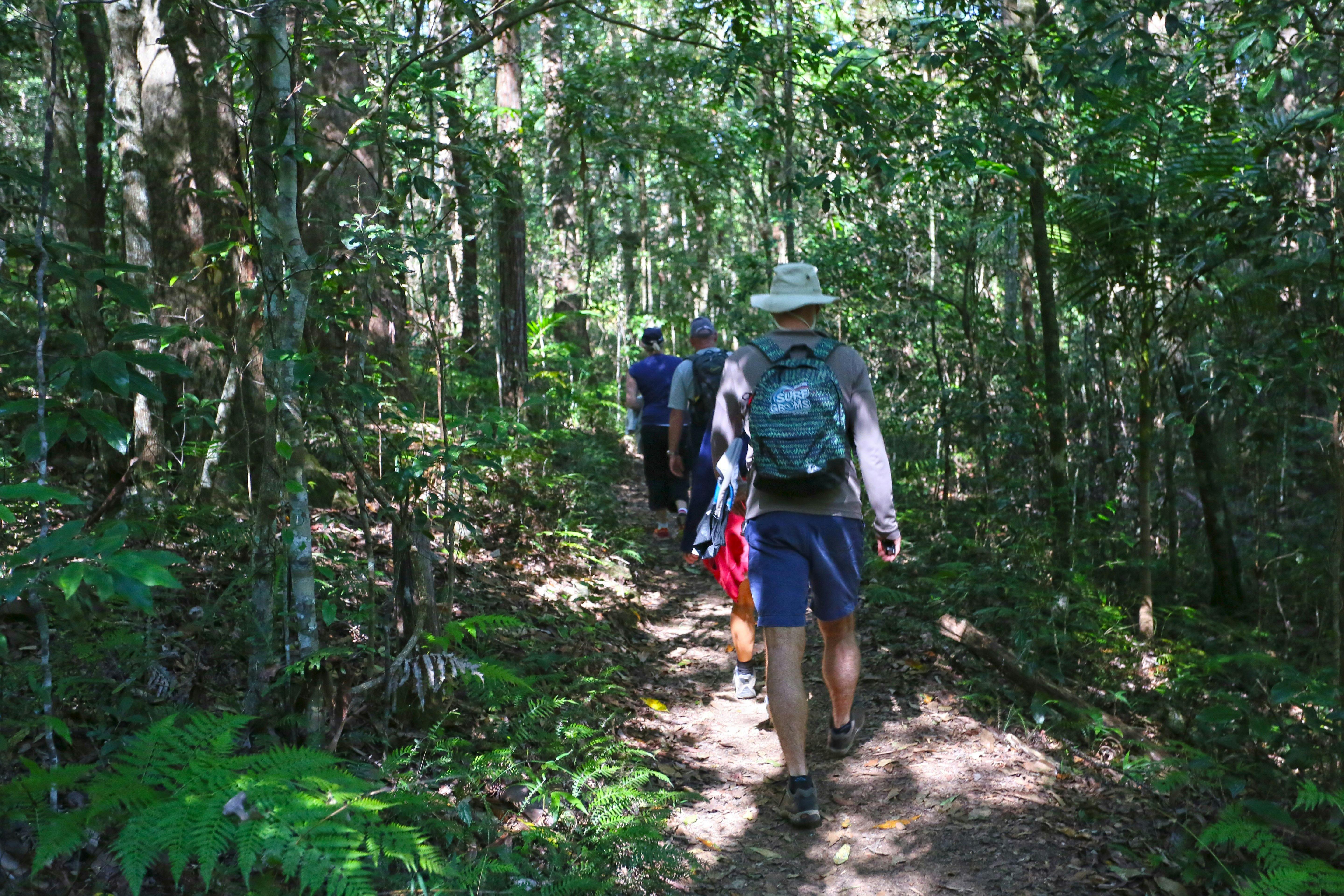 Booloumba Falls Walk Conondale National Park | Journeys | Queensland