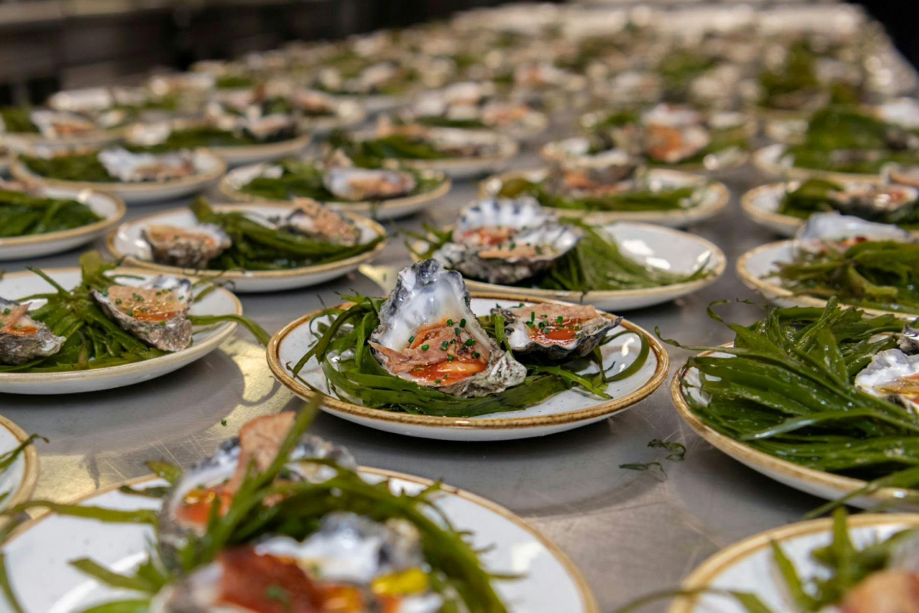 Shoalhaven Food Network - Shoalhaven - South Coast NSW