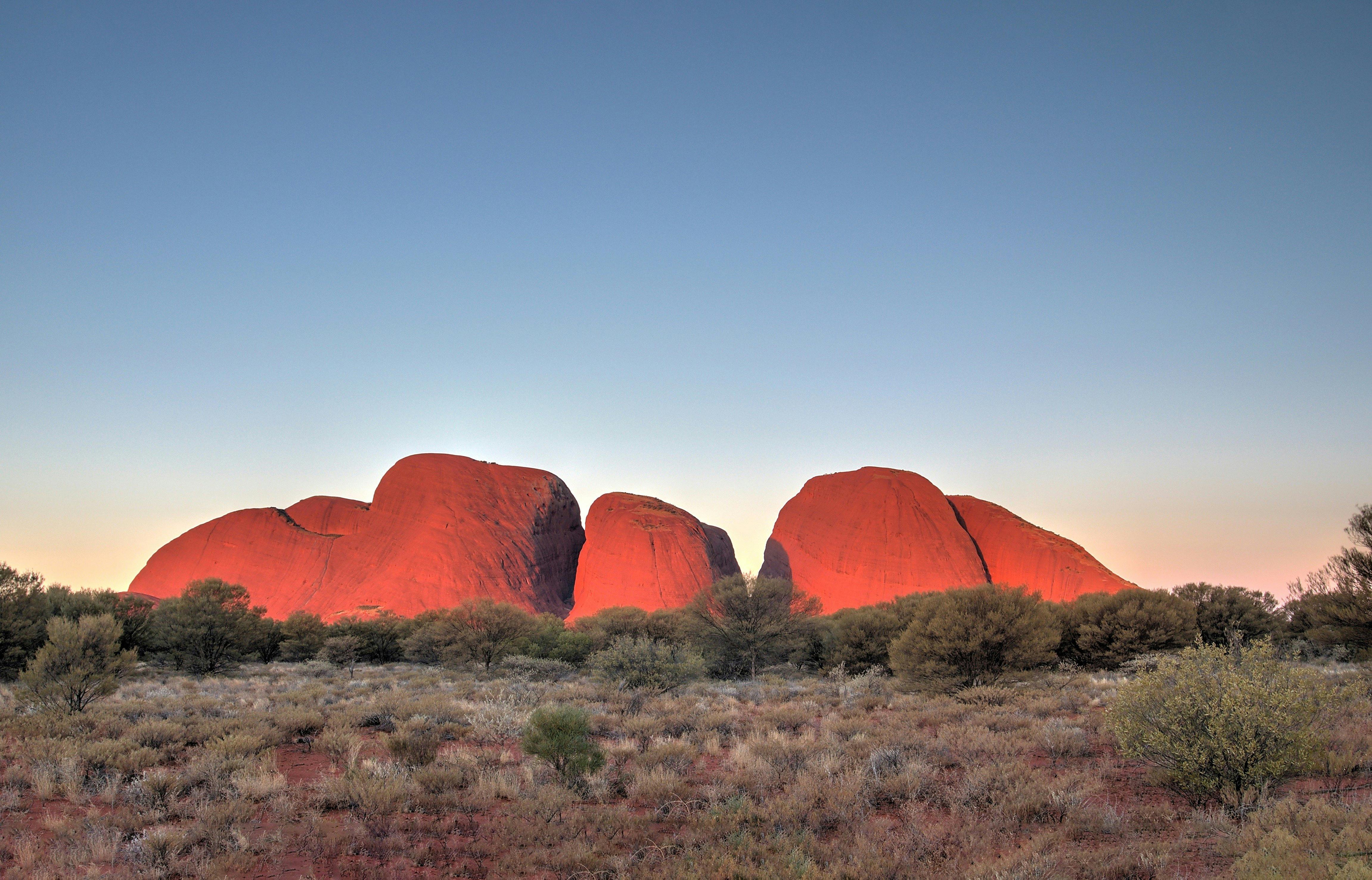Nature & wildlife in the NT | Northern Territory, Australia