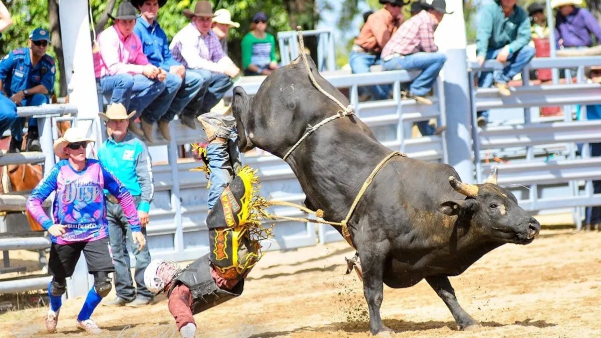 Mareeba Rodeo | Events | Queensland