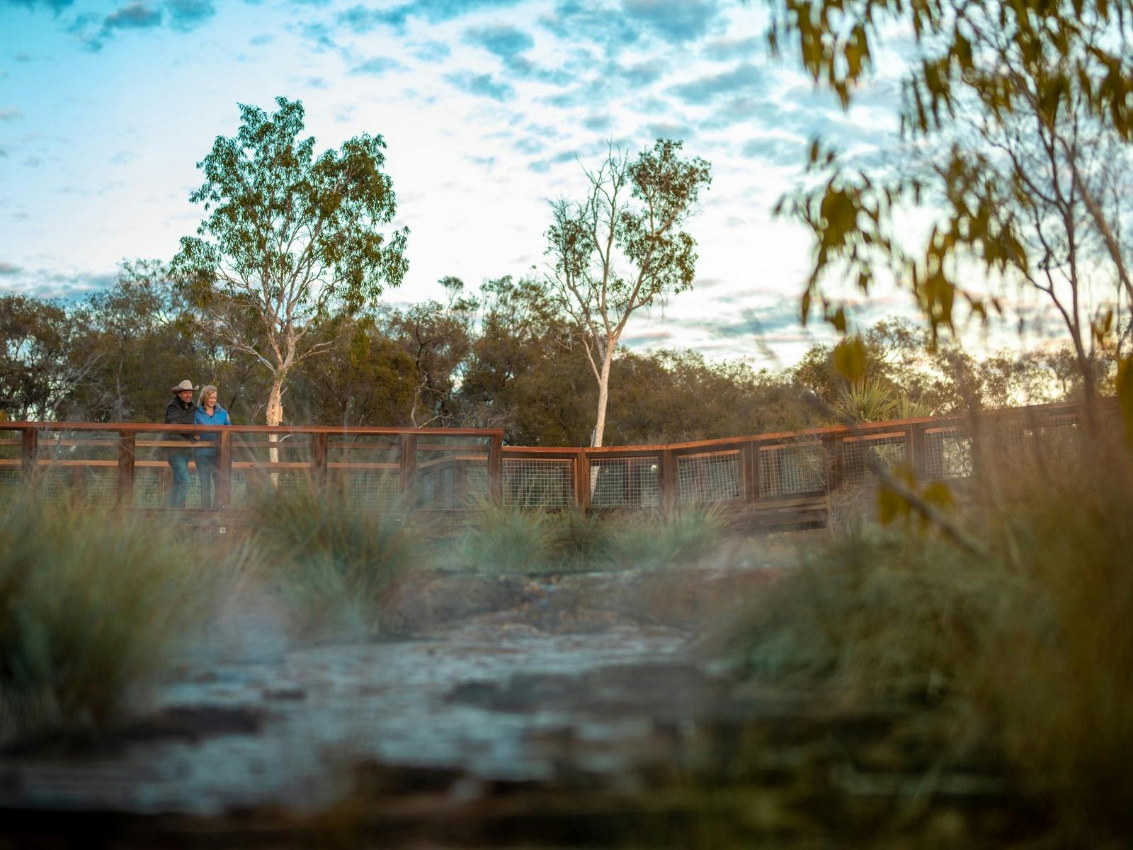 Outback Queensland Talaroo Hot Springs Tours