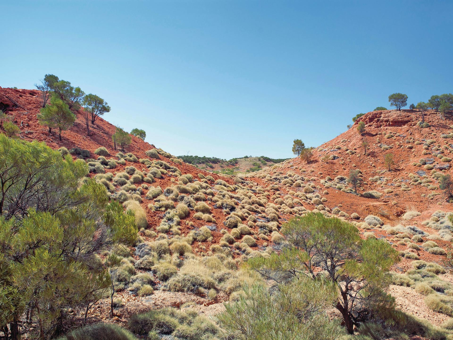 Lark Quarry Conservation Park in Winton - The Fold: Your Guide to ...