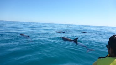 Burrum Heads Beachfront Tourist Park | Accommodation | Queensland