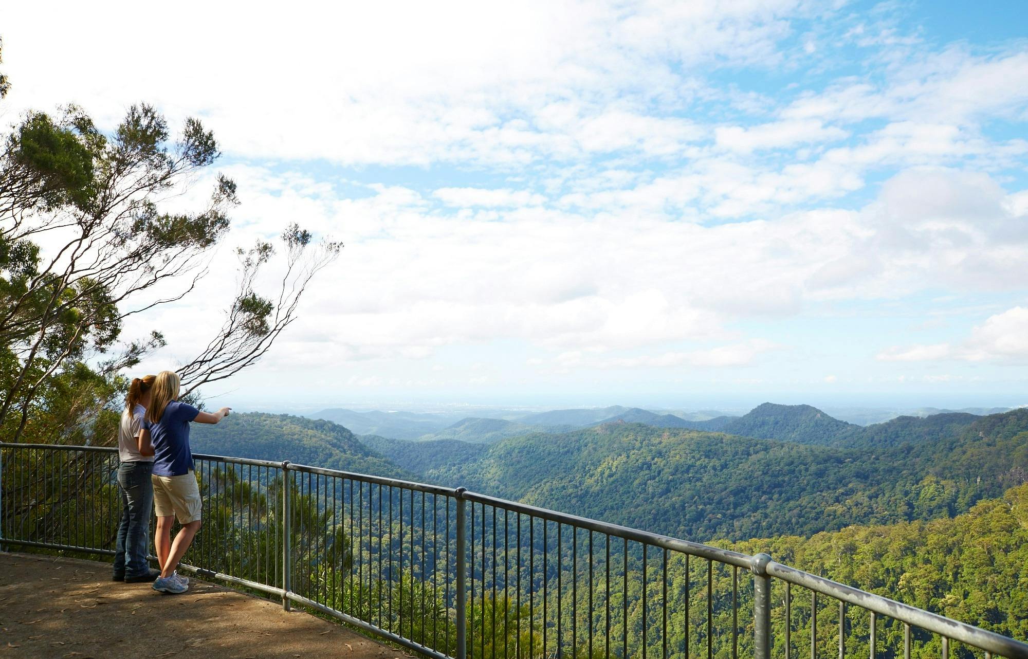 Springbrook Plateau Springbrook National Park | Attractions | Queensland
