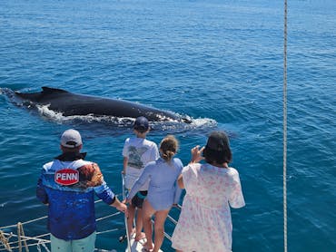 How to do the Great Inland Way Road Trip in 12 Days | Queensland