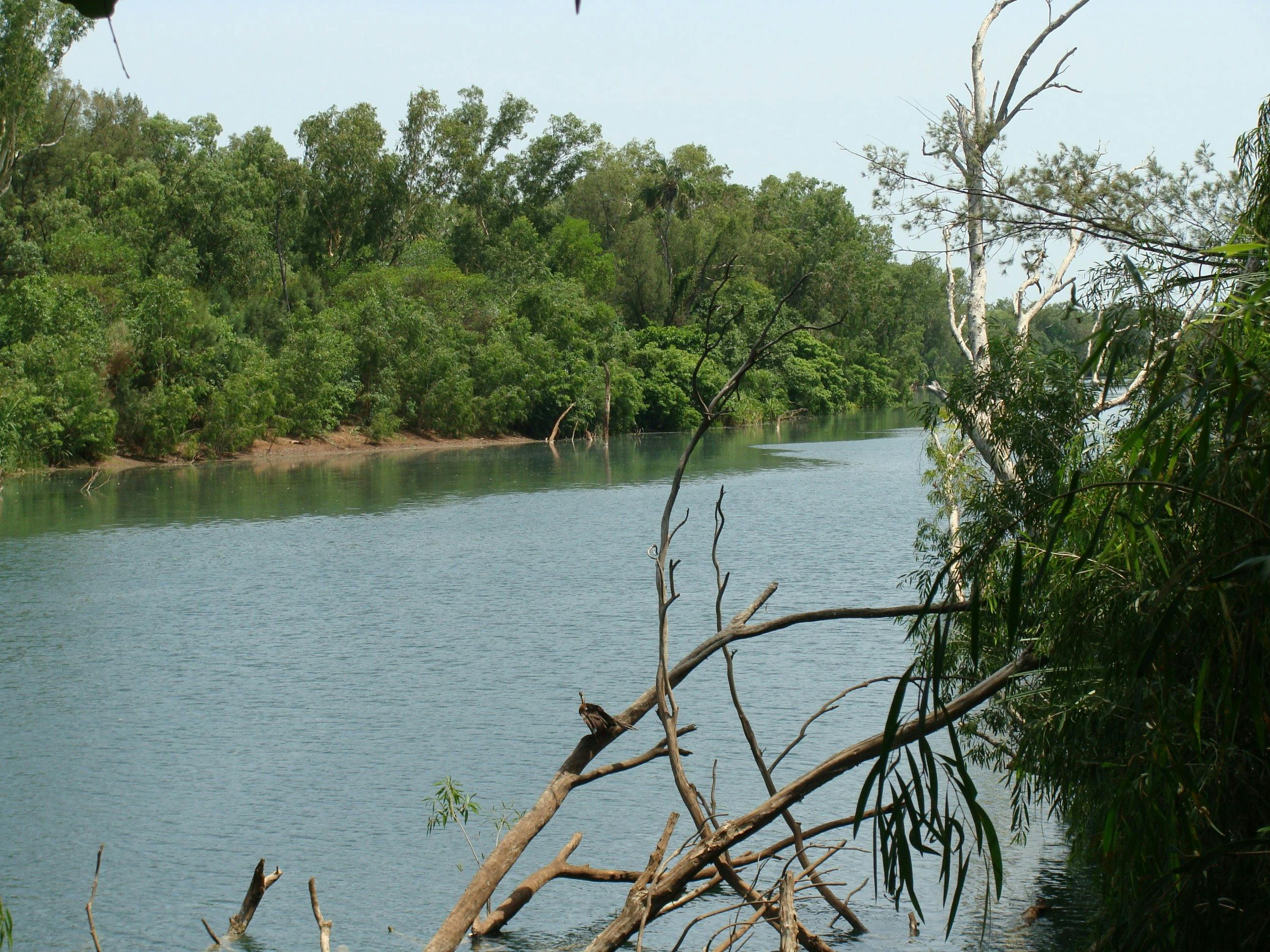 Giwining / Flora River Nature Park | Things to do in