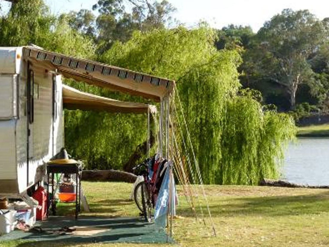 Riverbend Caravan Park, Riverfront Powered Sites - Renmark, Accom...