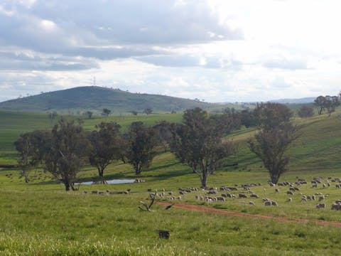 Boorowa Accommodation | NSW Holidays & Accommodation, Things to Do ...
