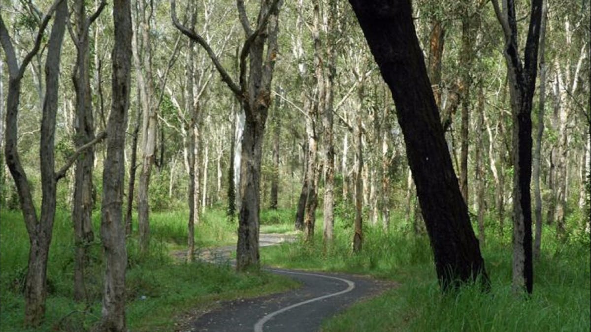 Boondall | Destination-information | Queensland