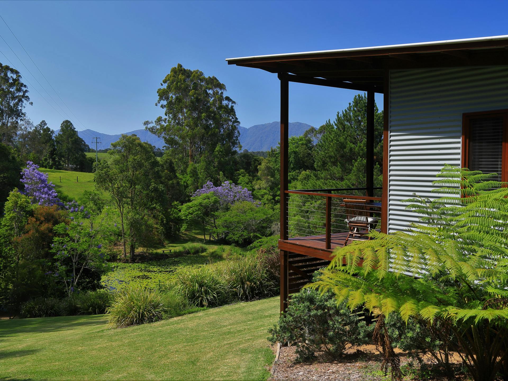 Lilypad Luxury Cabins in Bellingen - The Fold: Your Guide to Everything ...