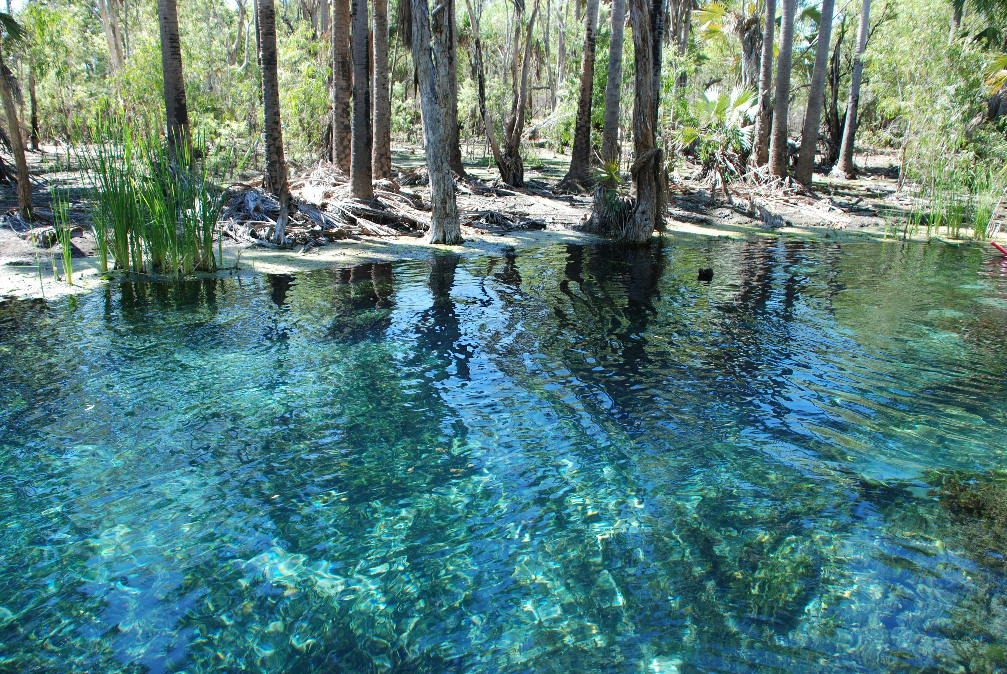 Katherine Gorge - Mataranka - Edith Falls | Adelaide river tour by NT ...