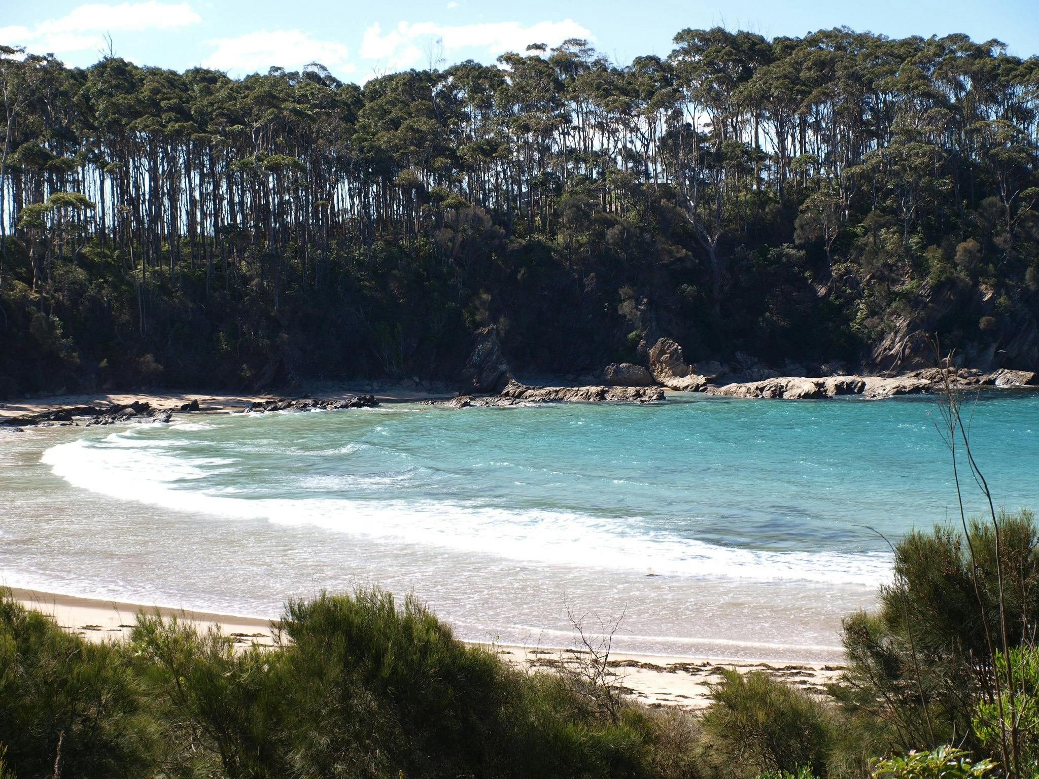 Lilli Pilli Beach | NSW Holidays & Accommodation, Things to Do ...
