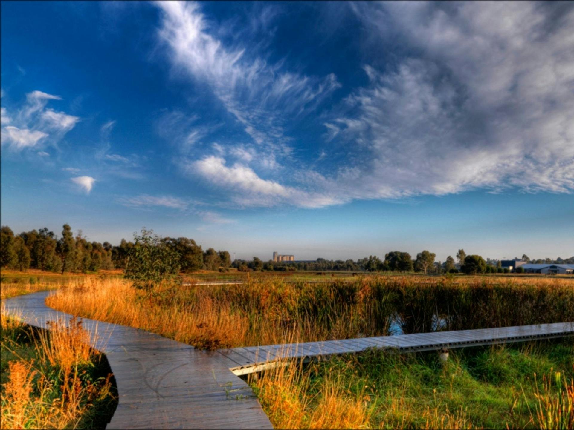 Junee Urban Wetlands in Junee - The Fold: Your Guide to Everything ...