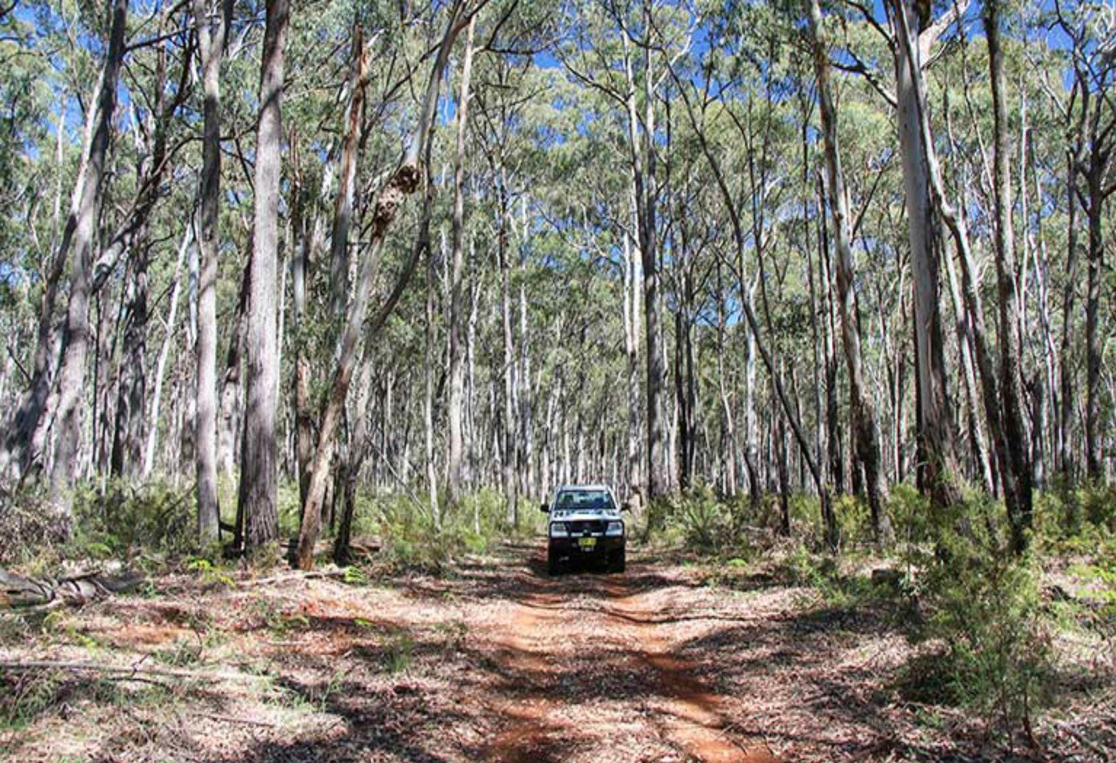 Barraba Track | NSW Holidays & Accommodation, Things to Do, Attractions ...