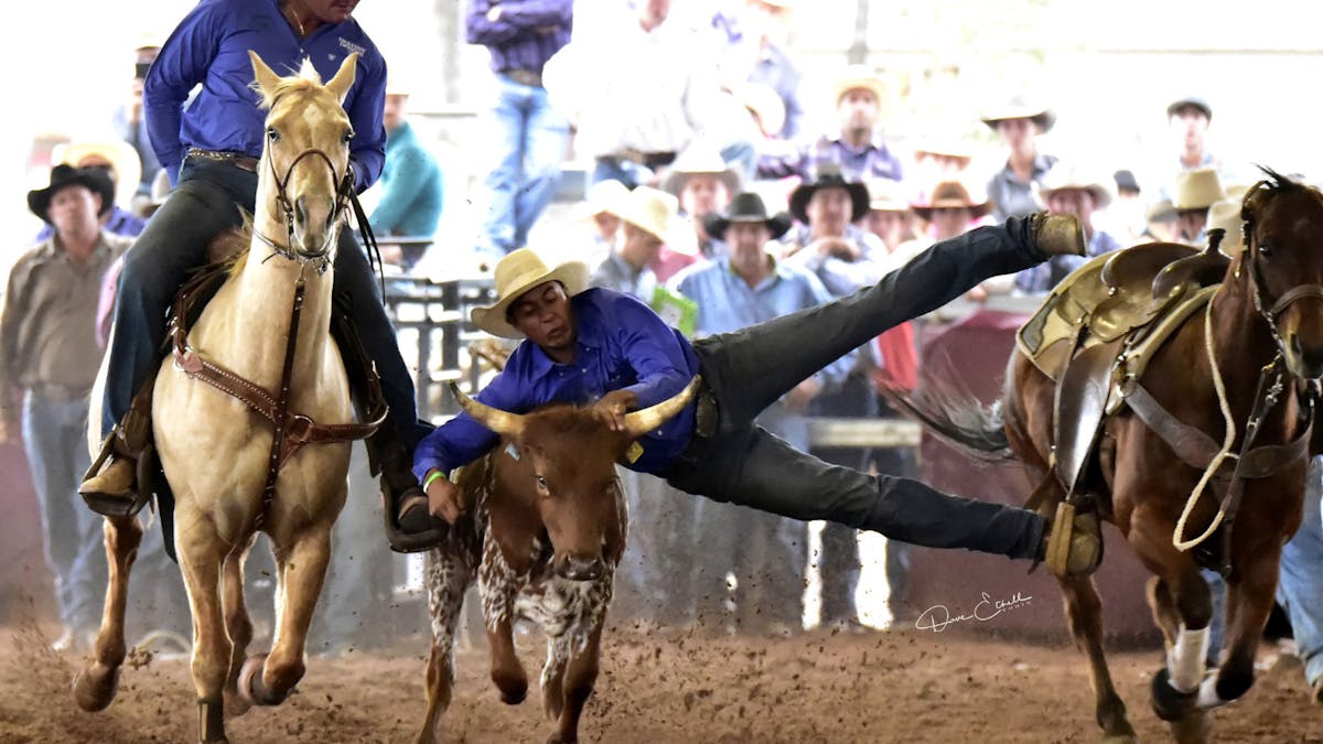 Nebo Rodeo | Events | Queensland