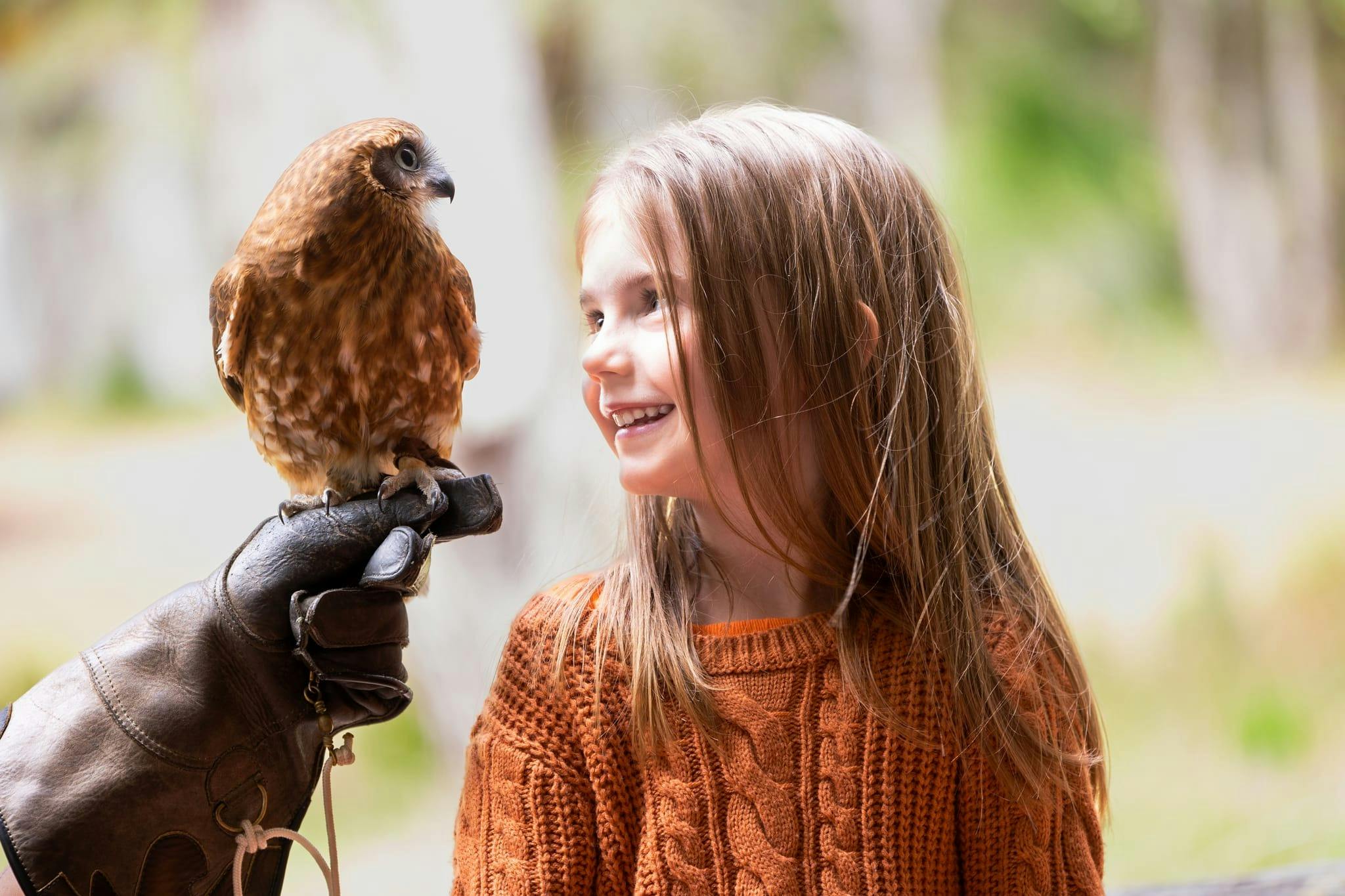 Capes Raptor Centre | Book Direct and Save