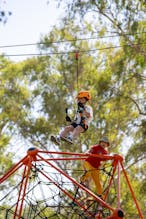 TreeClimb Salisbury - Adelaide, Attraction | South Australia