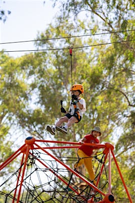 TreeClimb Salisbury - Adelaide, Attraction | South Australia