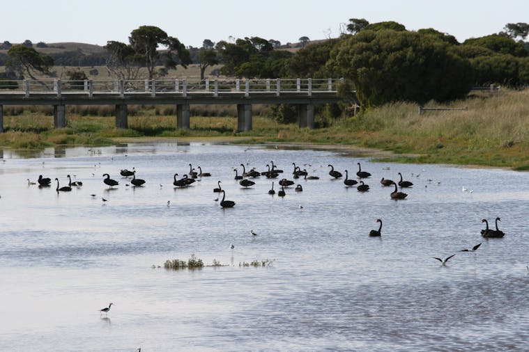 Lake Frome Conservation Park - Beachport, Attraction | South Australia