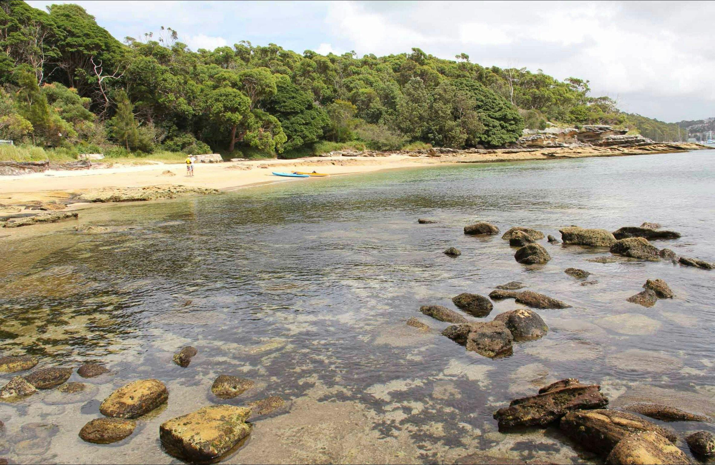 Reef Beach | Sydney, Australia - Official Travel & Accommodation Website