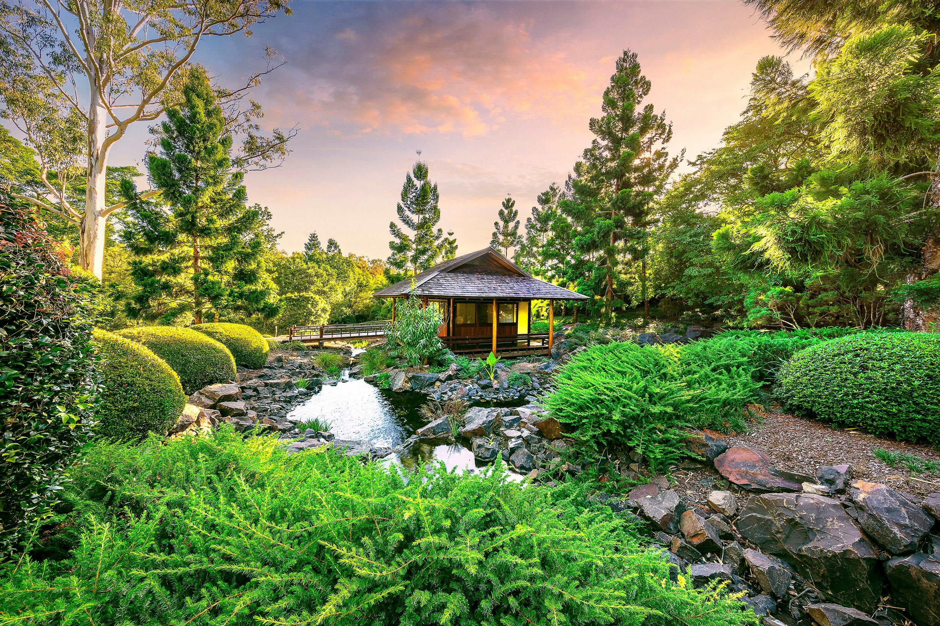 Japanese Tea Ceremony at Nerima Gardens