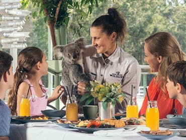 Top 30 Weekend Country Getaways Near Brisbane | Queensland