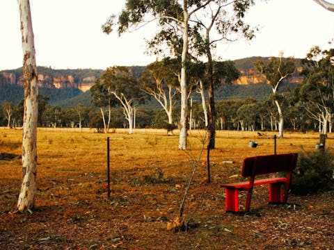 Megalong Valley NSW – Find Accommodation, Walks & Camping