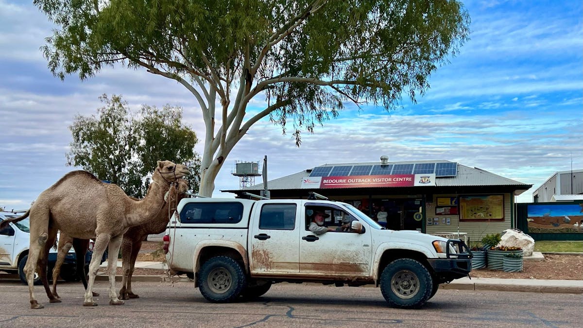 Bedourie | Destination-information | Queensland