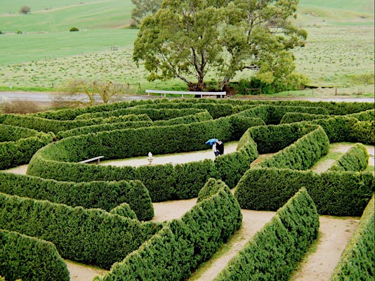 Mintaro Maze - Mintaro, | Tour Down Under