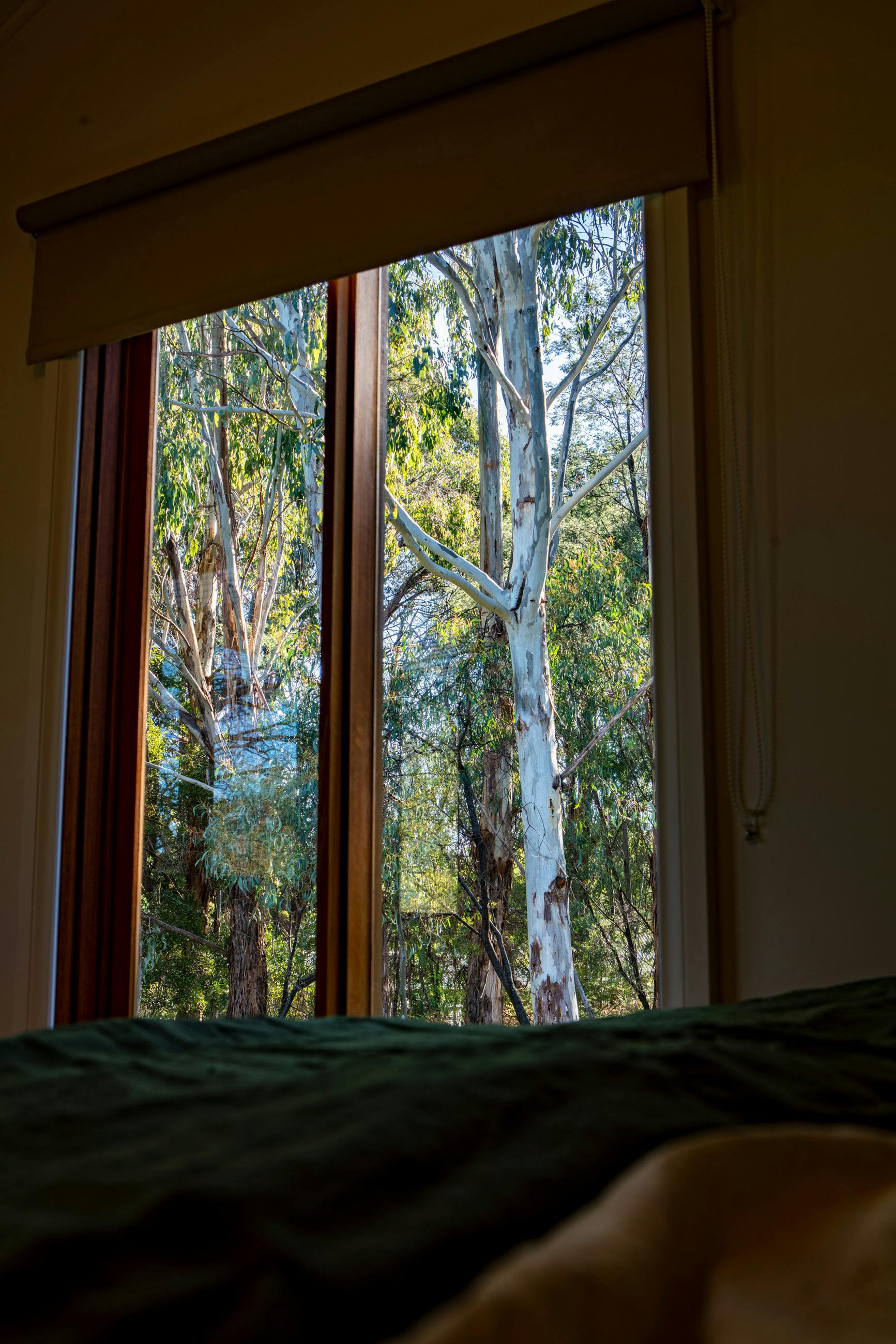 Stanley Cabin - Victoria's High Country