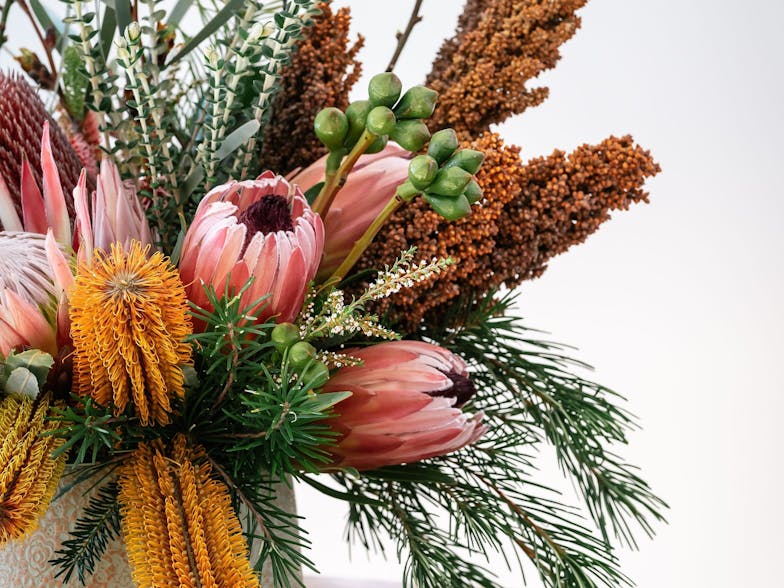 The Ranch Mornington Peninsula — Adventure + Attractions — Visit ...