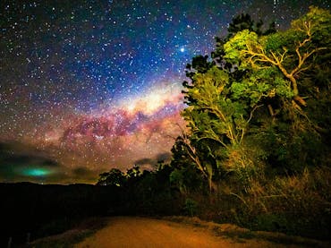 Benarkin State Forest | Attractions | Queensland