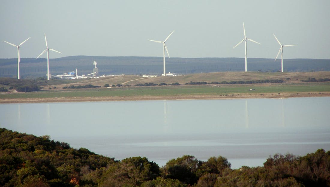 Coola Outstation Historical Walk - Millicent, Attraction | South ...