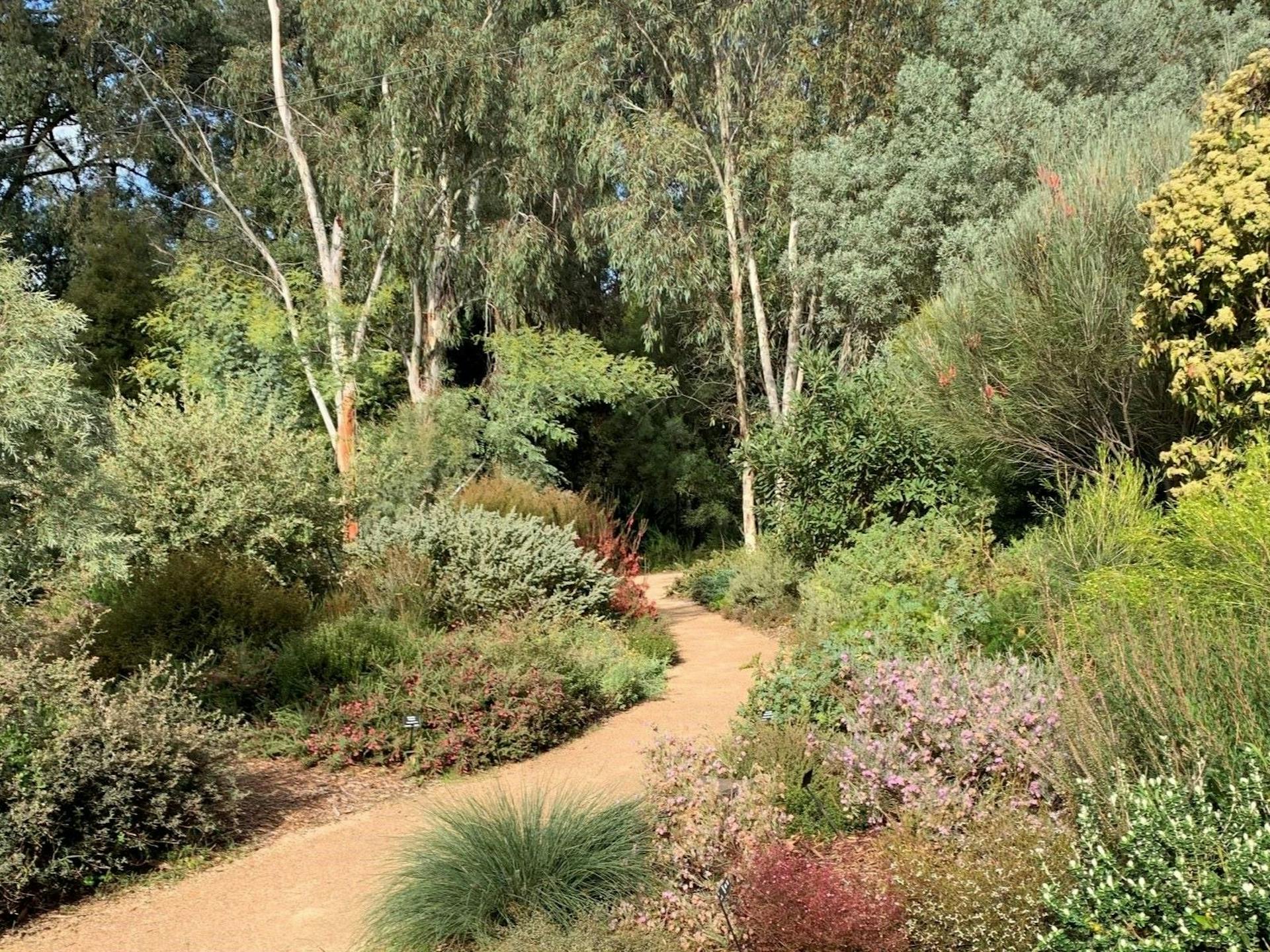 Karwarra Australian Native Botanic Garden and Nursery in Kalorama - The ...