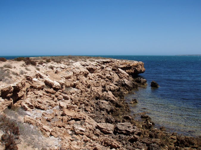 Laura Bay Conservation Park - Laura Bay, Attraction | South Australia