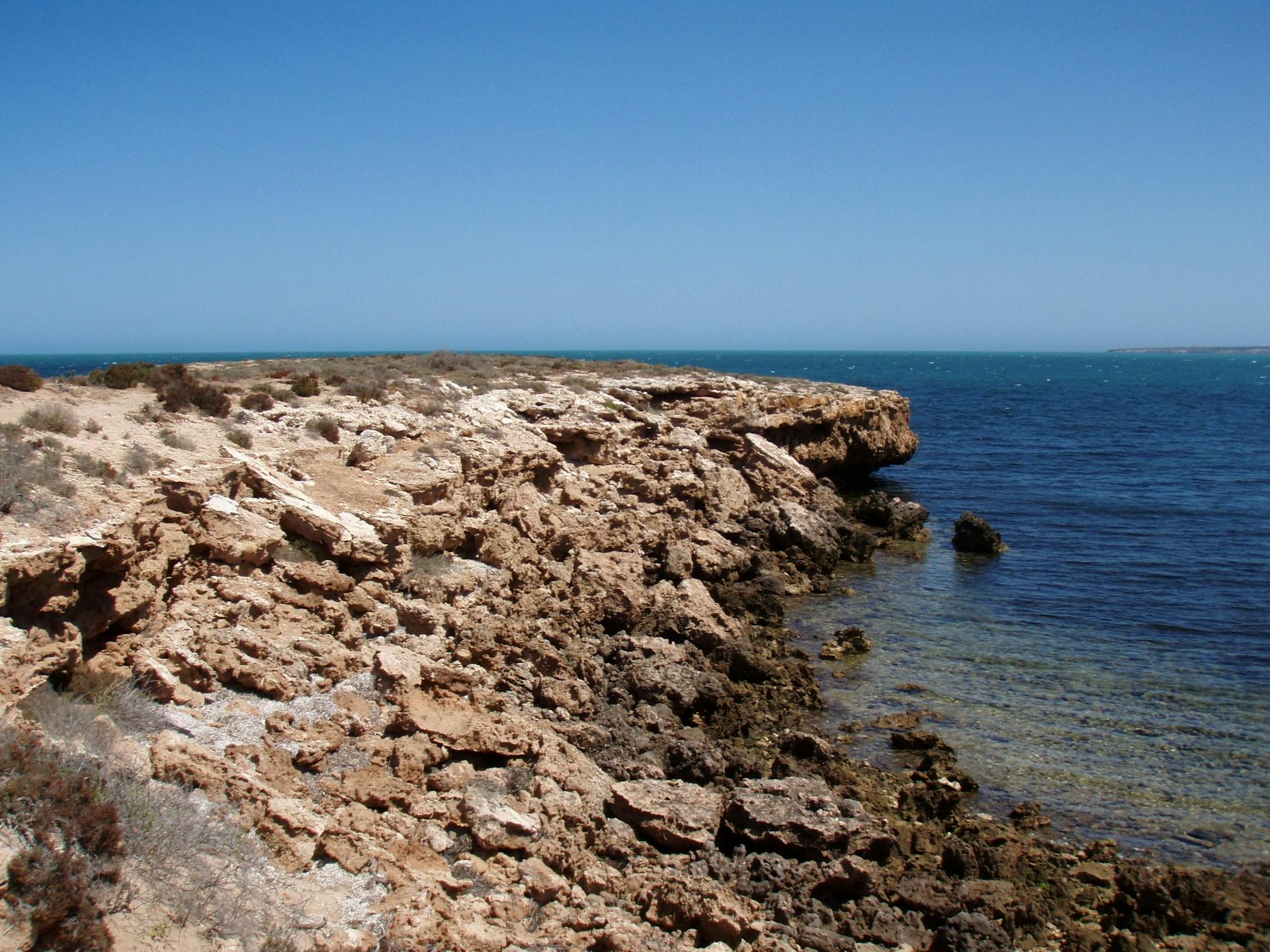 Laura Bay Conservation Park in Laura Bay - The Fold: Your Guide to ...