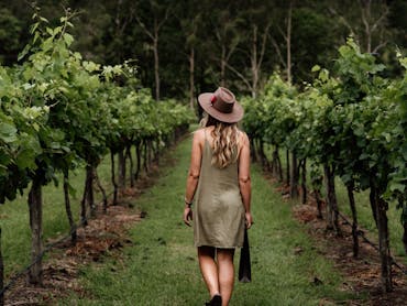 Purga Nature Reserve | Attractions | Queensland