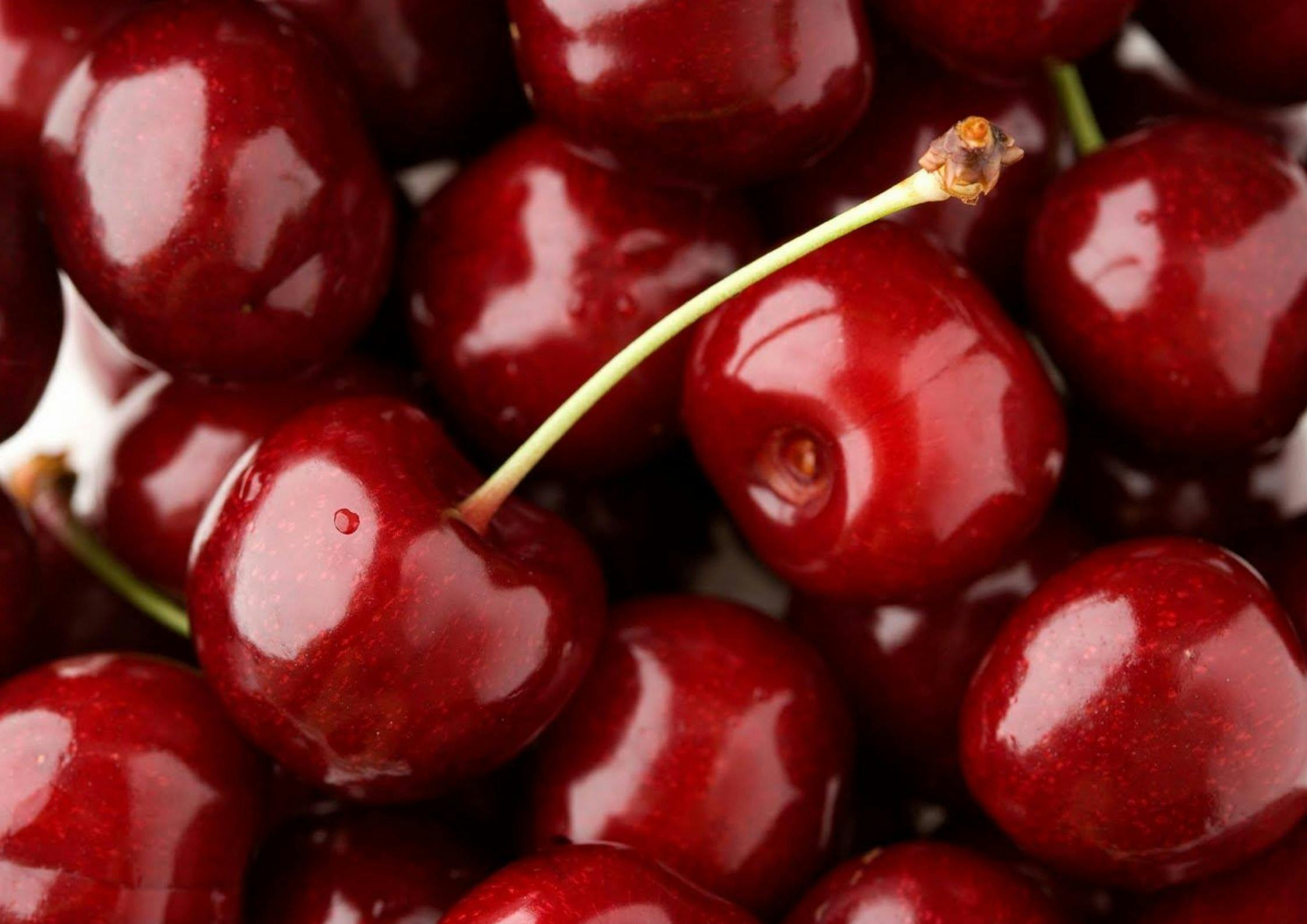 All Things To do - Orange 360