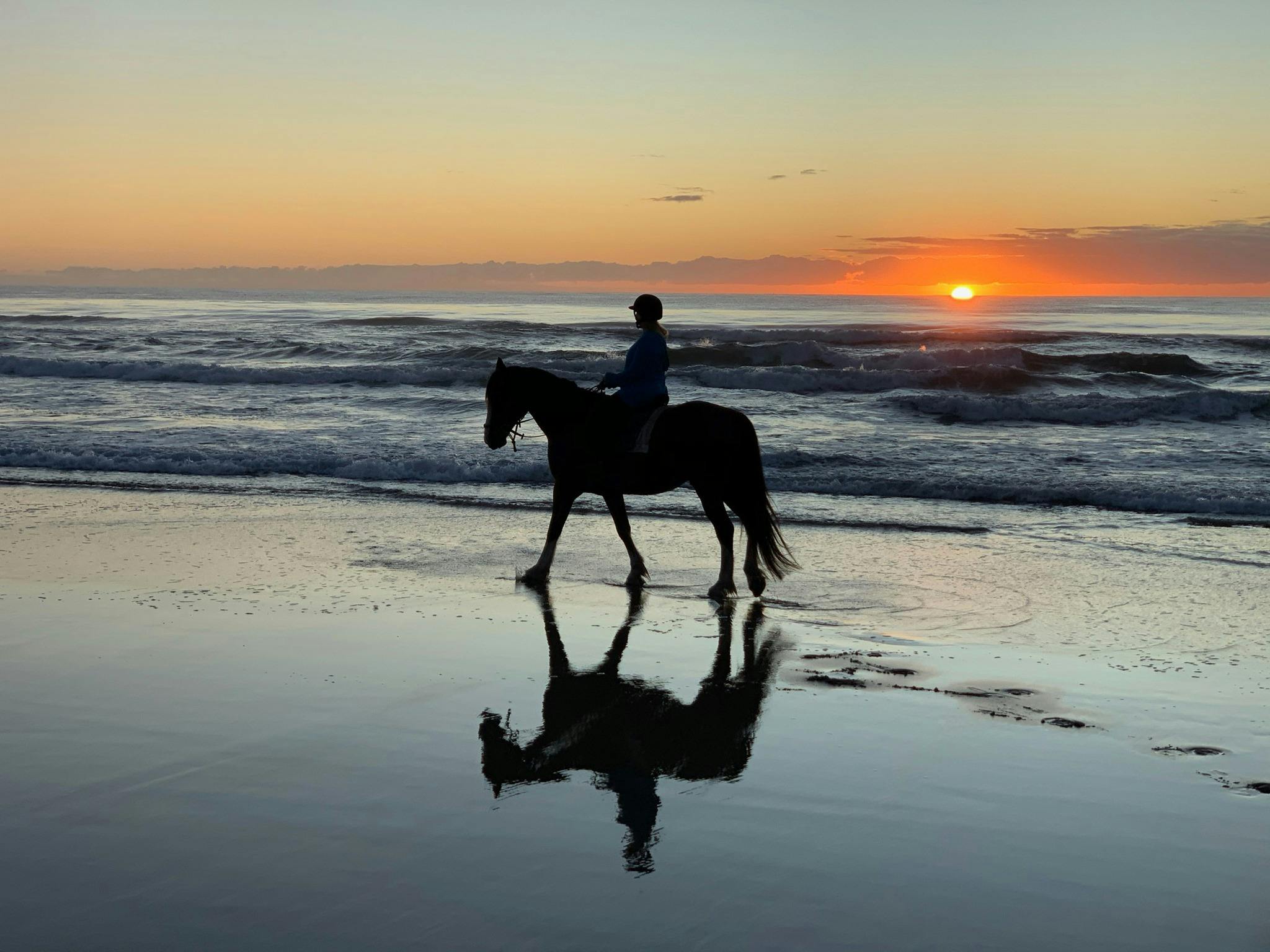 Regal Riding School | NSW Holidays & Accommodation, Things to Do ...