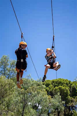TreeClimb Salisbury - Adelaide, Attraction | South Australia