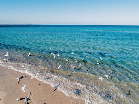 Arno Bay Estuary Boardwalk - Arno Bay, Attraction | South Australia