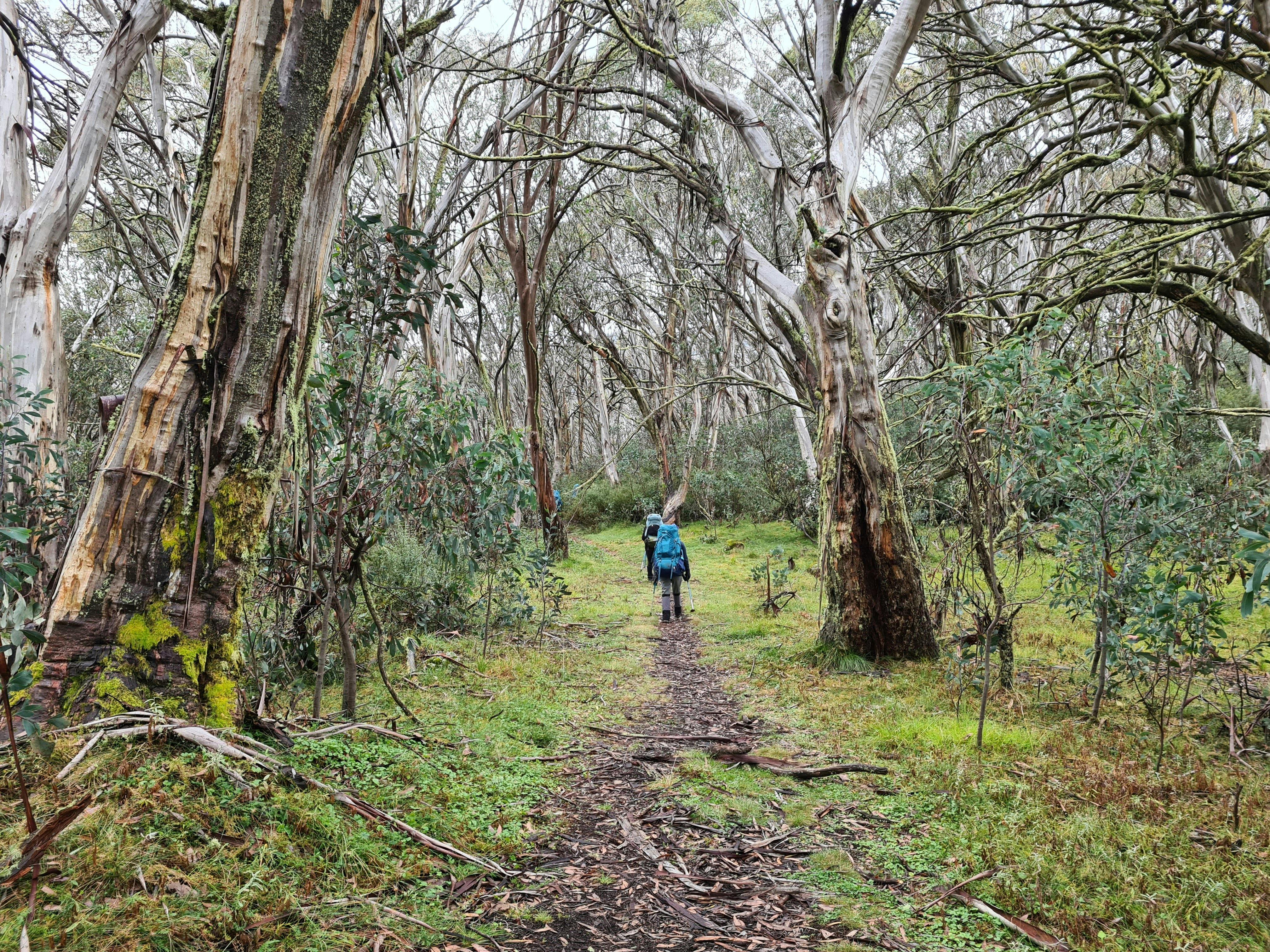 Two Peaks - Victoria's High Country