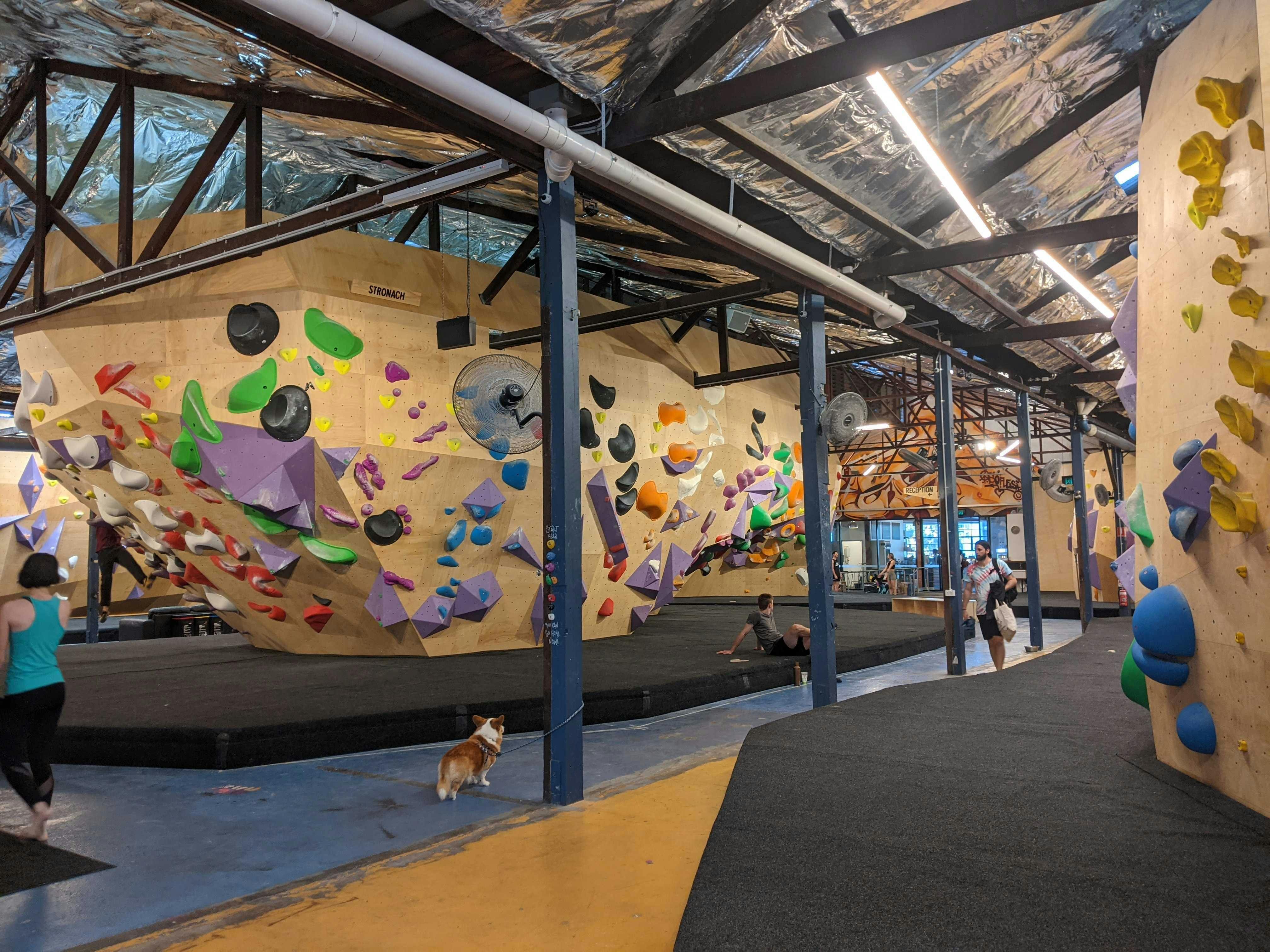 Urban Climb West End