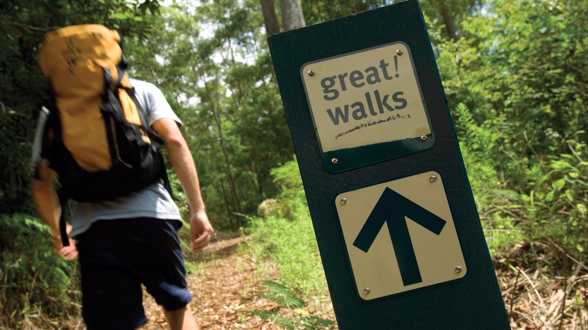 Sunshine Coast Hinterland Great Walk | Journeys | Queensland