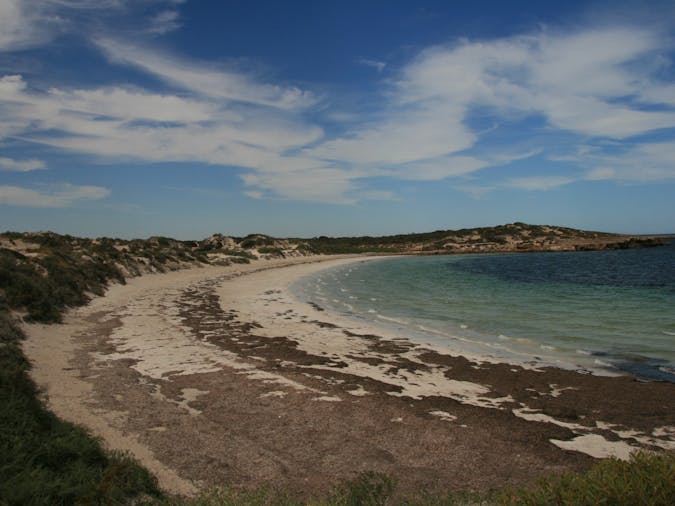 Laura Bay Conservation Park Campgrounds - Laura Bay, Accommodatio...