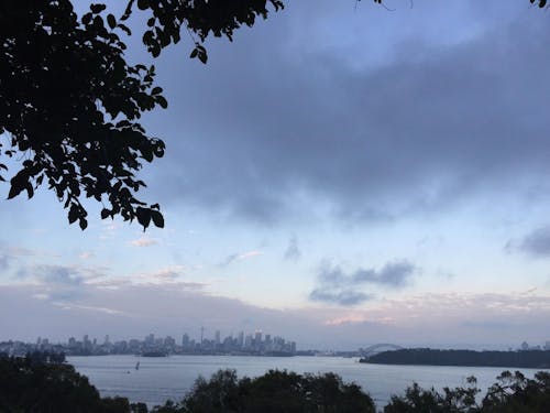 Sydney City Activities | Sydney, Australia - Official Travel ...