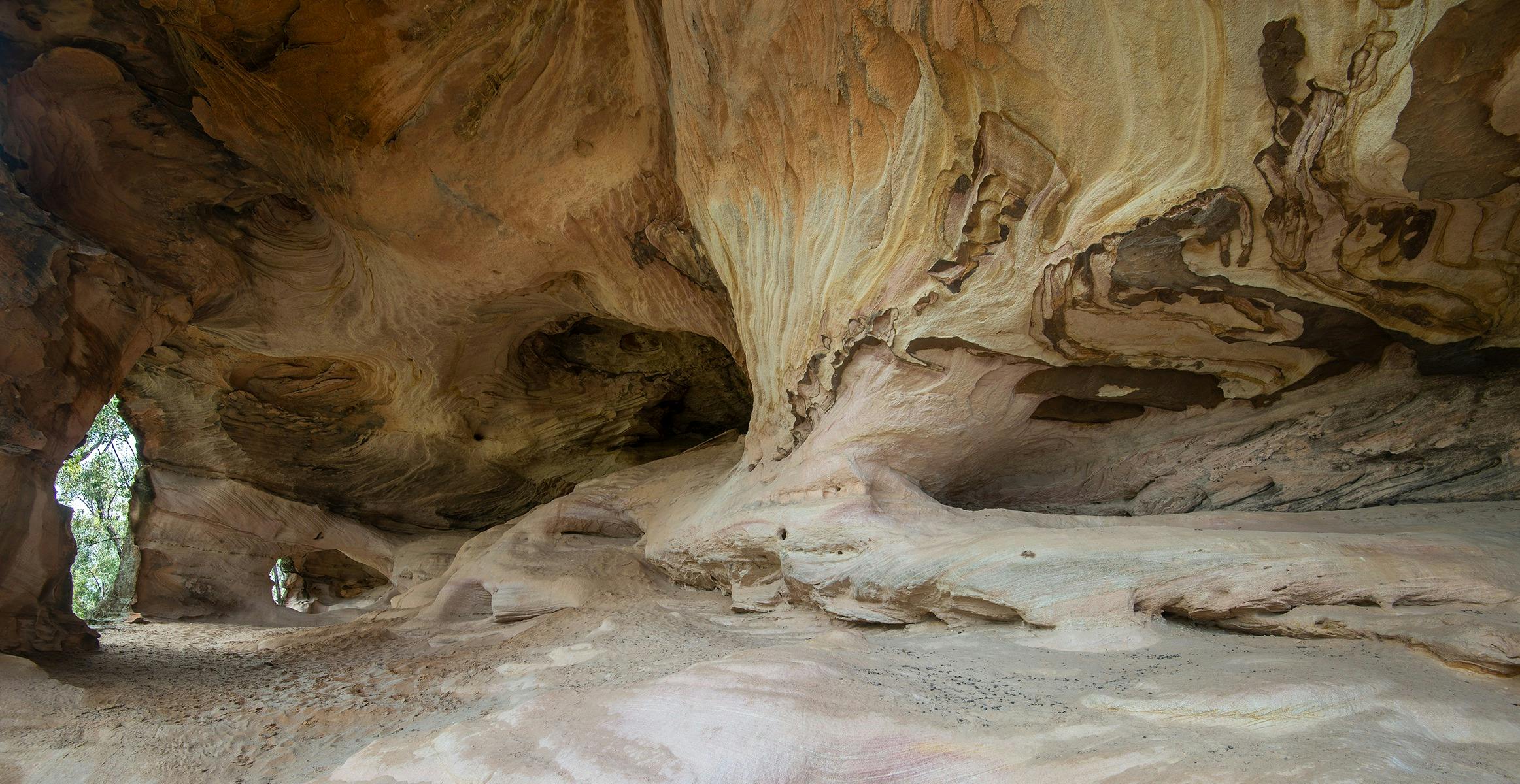 Running Duck Studio mobile art gallery